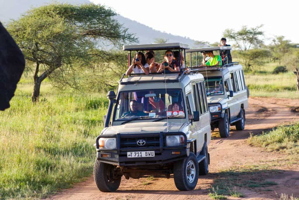5 Days Migration Special Safari - Afrishare Trekking And Safaris
