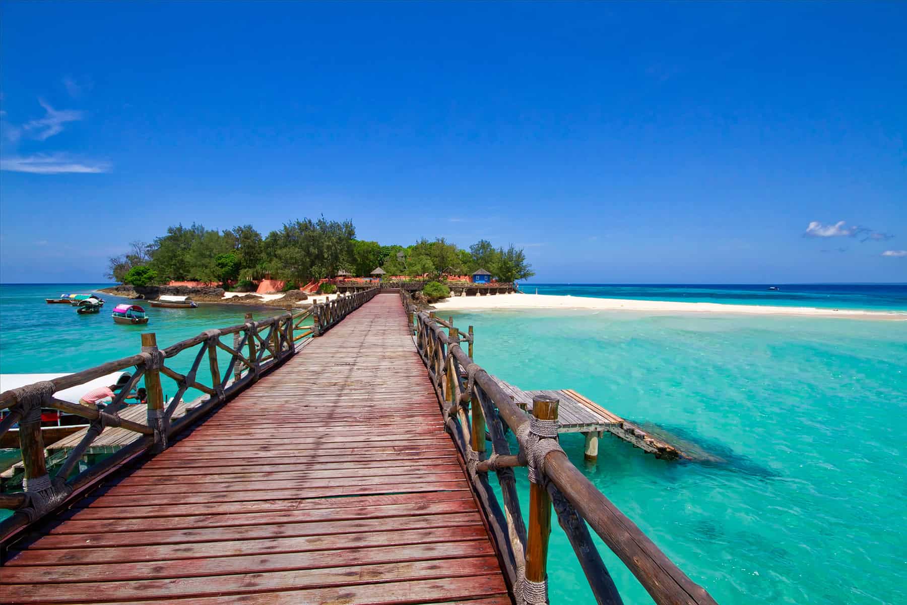 Prison Island Tour Zanzibar - Afrishare Trekking And Safaris